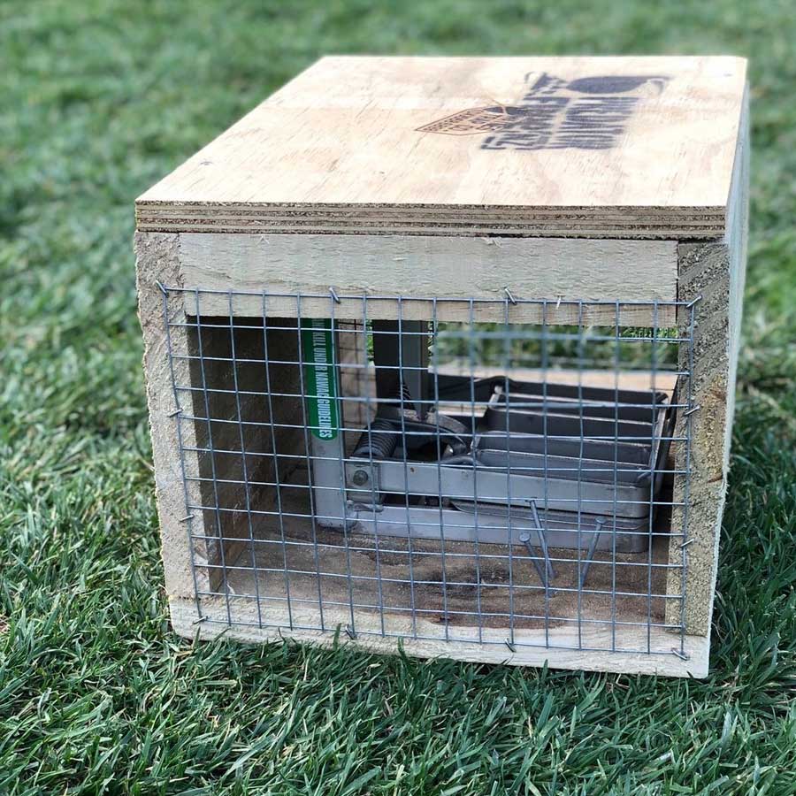 Pest management – Te Ara Kakariki